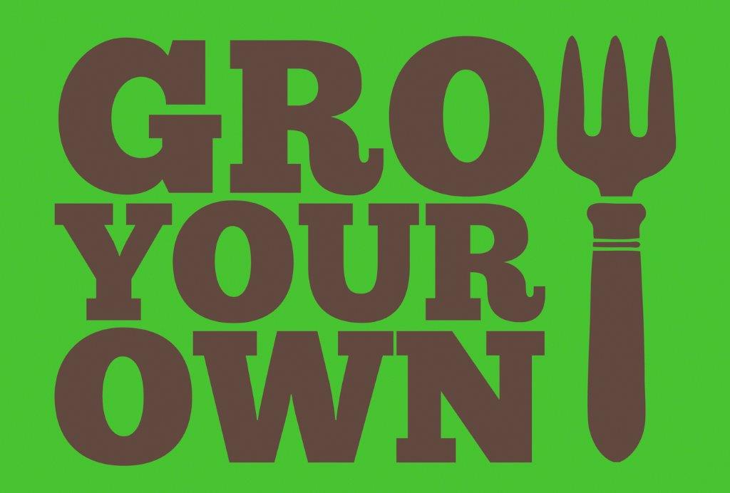 Grow Your Own | Primary Times