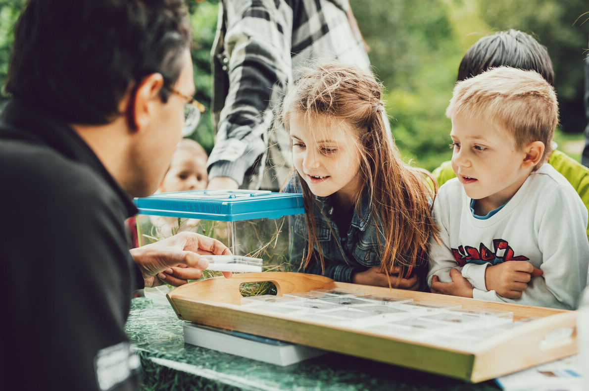 Nature Adventurers: Immersive Outdoor Sessions | Primary Times