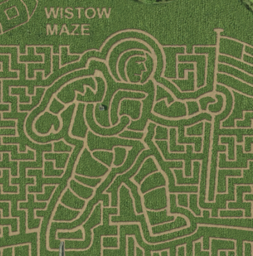 Win a family ticket to Wistow Maze | Primary Times