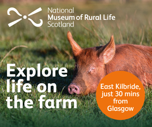 Family activities and events for primary school children | Primary Times